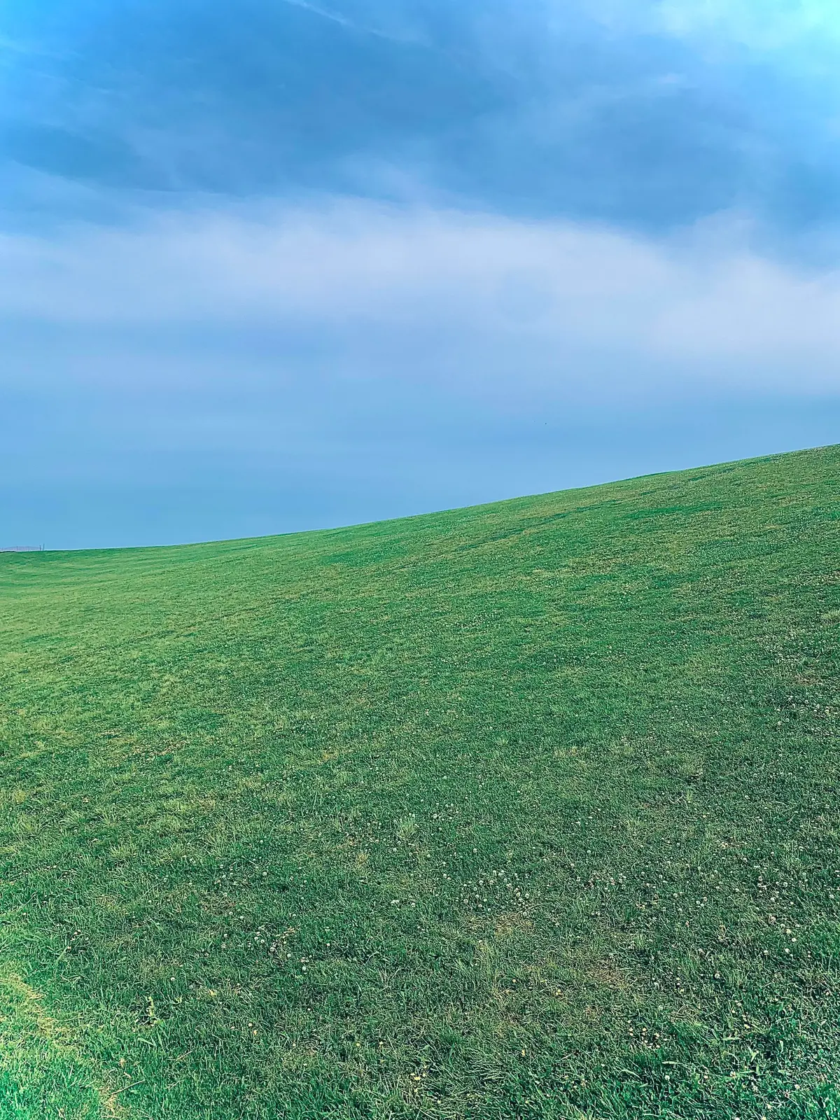 Level END, THE TRUE END | Backrooms Freewriting Wiki | Fandom