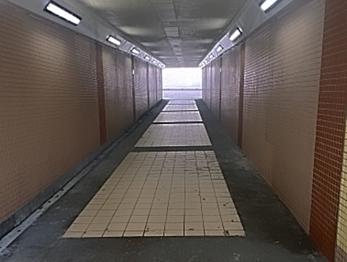 Level () | Backrooms Freewriting Wiki | Fandom