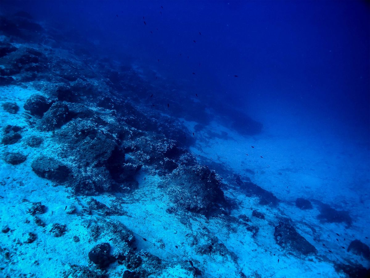 Level 710: "Deep Ocean" | Backrooms Freewriting Wiki | Fandom