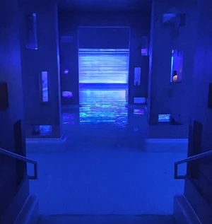 The world of Neon ⚘ " | Backrooms Freewriting Wiki | Fandom