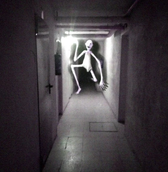 Level 560 "The Doors" | Backrooms Freewriting Wiki | Fandom