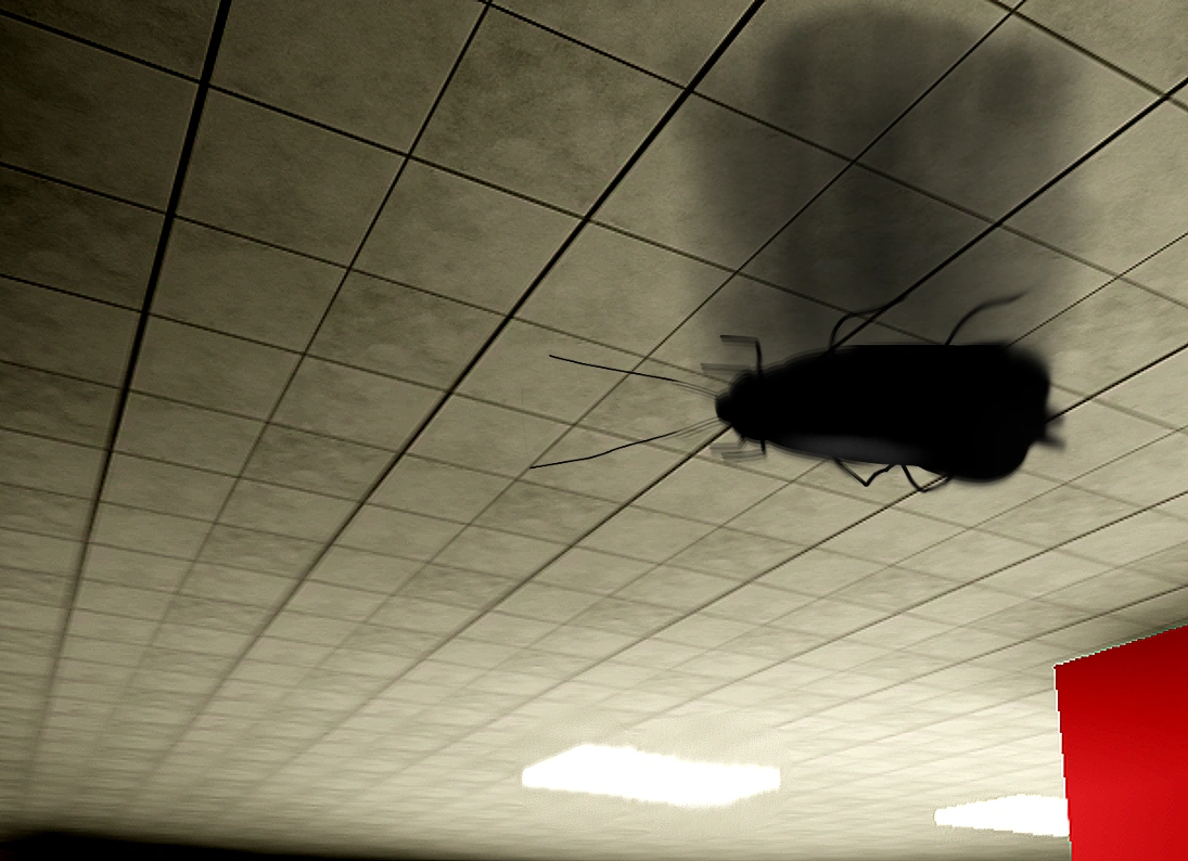 Bacteriaroacher | Backrooms Freewriting Wiki | Fandom