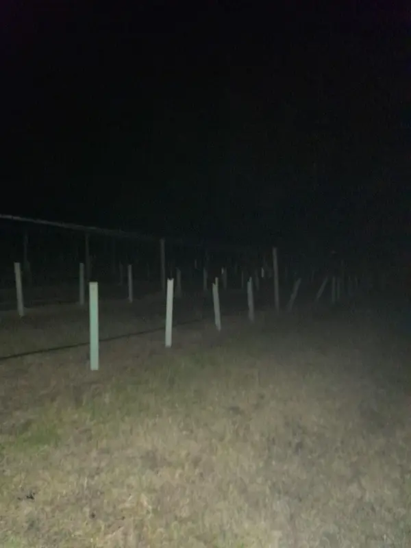 Level -12 - "Outlier Fields" | Backrooms Freewriting Wiki | Fandom