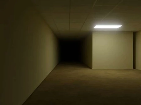 Level 0-A: “How sad the loneliness is...” | Backrooms Freewriting Wiki ...