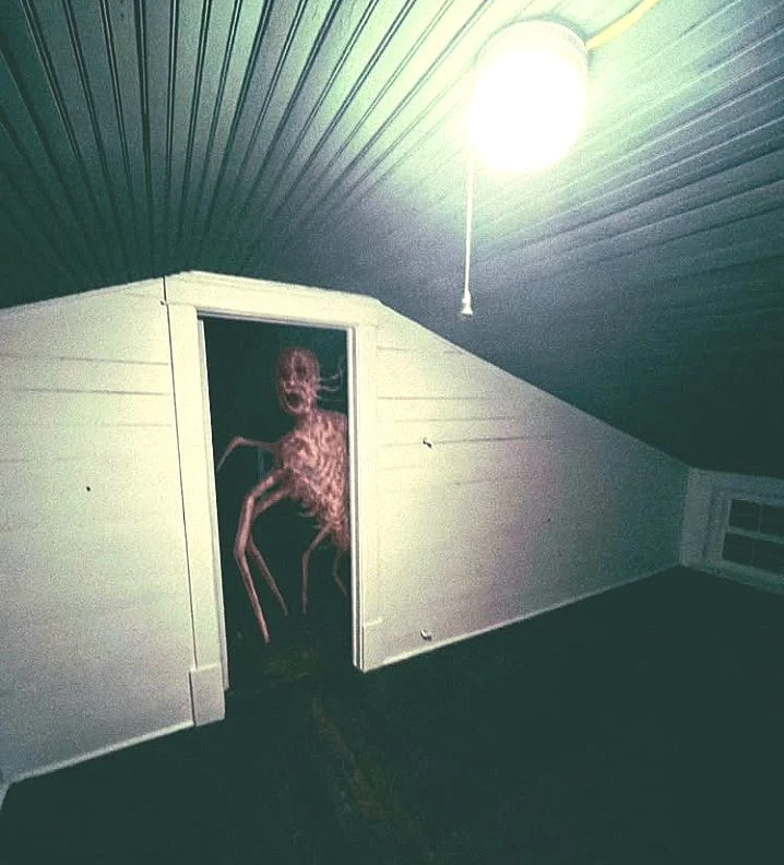 Entity 2333: "Swindler" | Backrooms Freewriting Wiki | Fandom