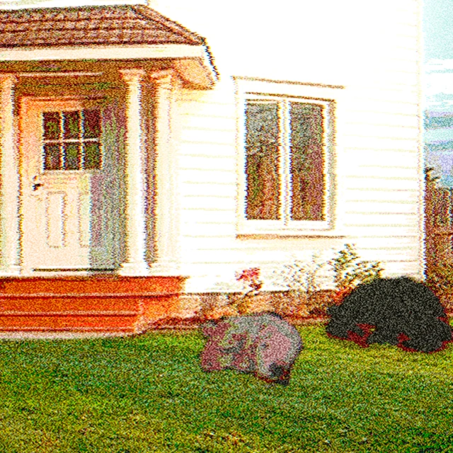 Entity 121: "The Low-Sofie" | Backrooms Freewriting Wiki | Fandom