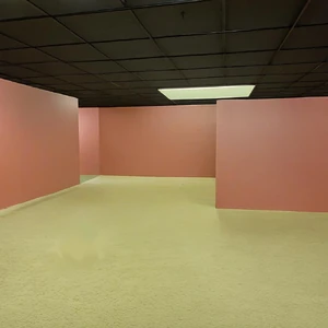 Level 0.26 | Backrooms Freewriting Wiki | Fandom