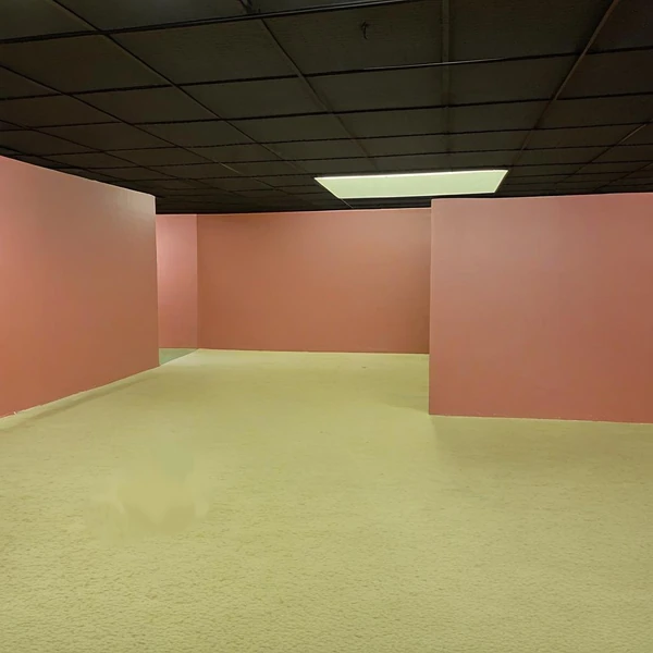 Level 0.26 | Backrooms Freewriting Wiki | Fandom