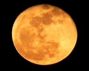 Entity 9999: The Moon' | Backrooms Freewriting Wiki | Fandom