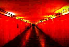 Level 10 The ? rooms | Backrooms Freewriting Wiki | Fandom