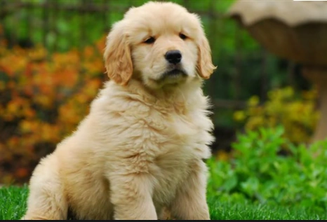 Entity 144 | Backrooms Freewriting Wiki | Fandom