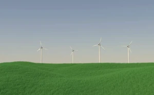 Level 25: "GrassLands" | Backrooms Freewriting Wiki | Fandom