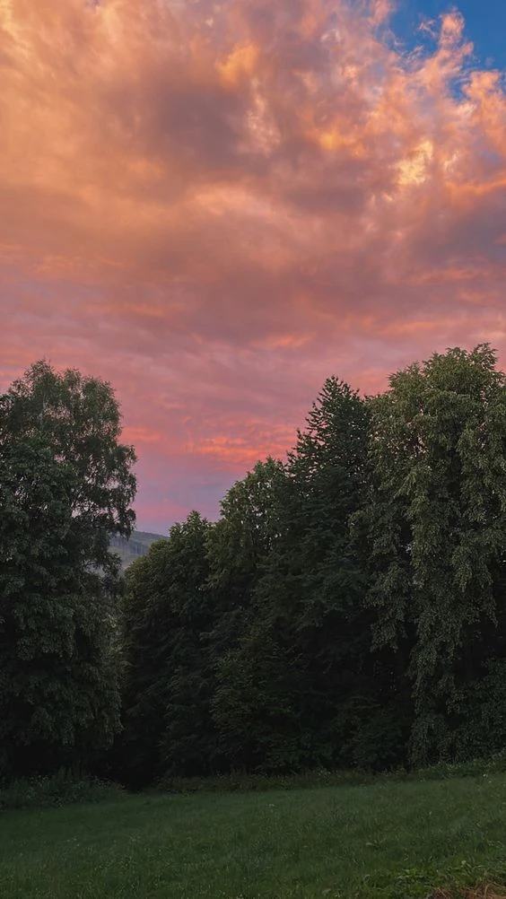 Level 727: "Pink Sunset" | Backrooms Freewriting Wiki | Fandom