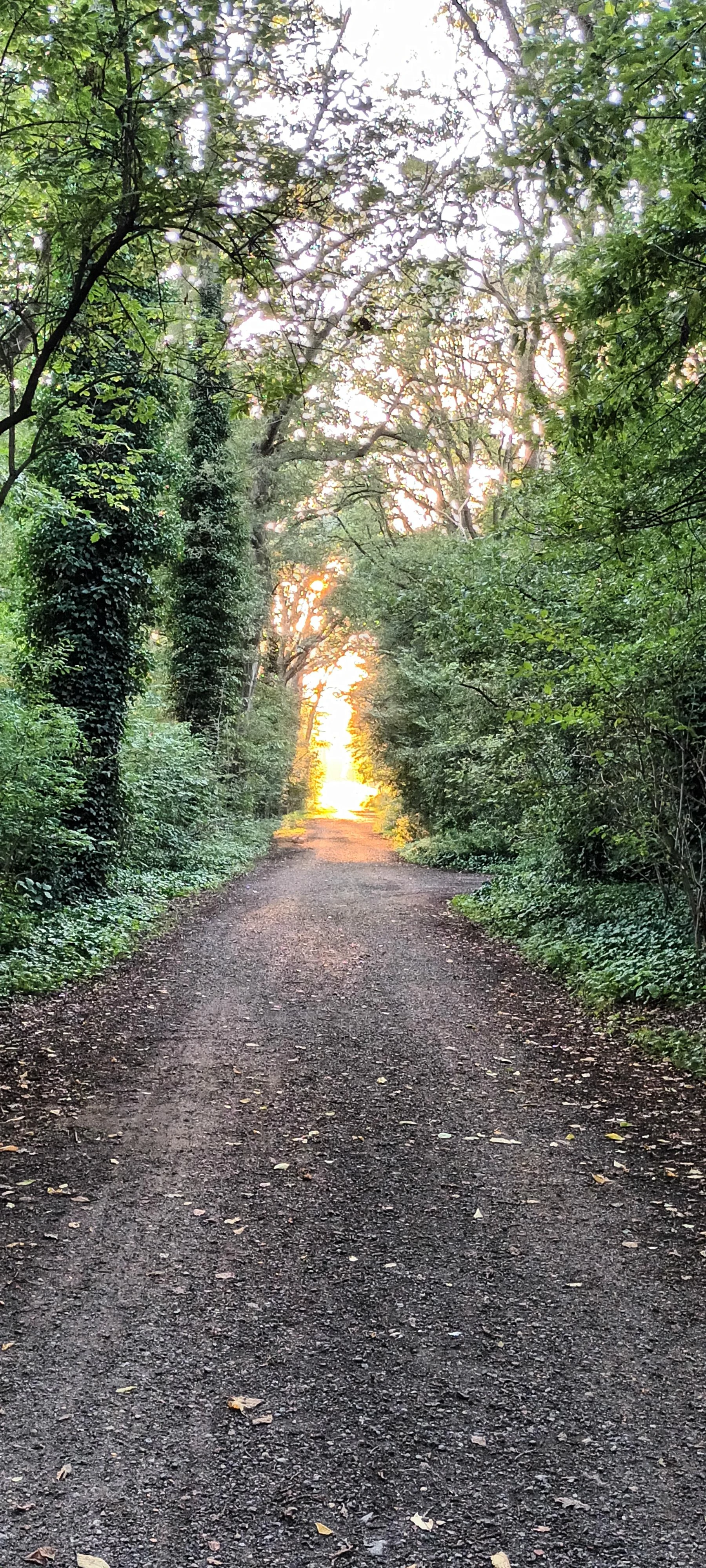 Level 298 | Backrooms Freewriting Wiki | Fandom