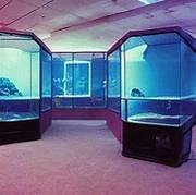 Level habitable | Backrooms Freewriting Wiki | Fandom