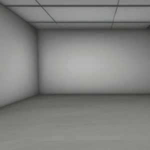 Level 411: "Empty Room" | Backrooms Freewriting Wiki | Fandom