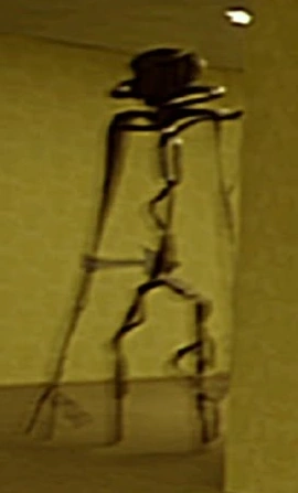 Entity 6: "Bacteria" | Backrooms Freewriting Wiki | Fandom