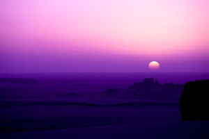 Level -34: "𝒯𝒽𝑒 𝒢𝓇𝑒𝒶𝓉𝑒𝓈𝓉 𝑅𝑒𝒶𝓁𝓂" | Backrooms Freewriting Wiki | Fandom