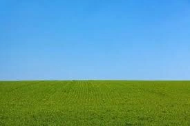 Level 1001.978: "The Endless Fields of Sub-Liminality" | Backrooms ...