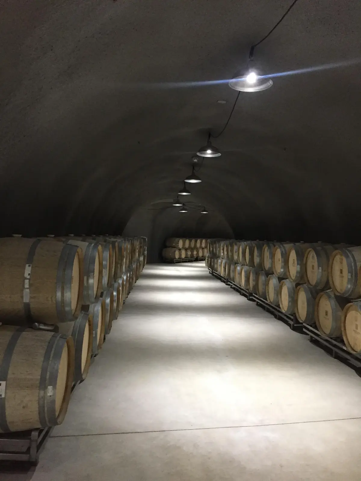 Level 104: "Barrel Rooms" | Backrooms Freewriting Wiki | Fandom
