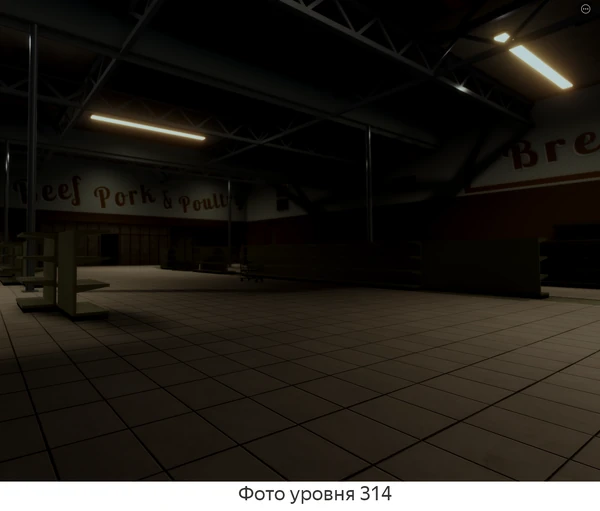 Level 314 - "Dark Shop" | Backrooms Freewriting Wiki | Fandom