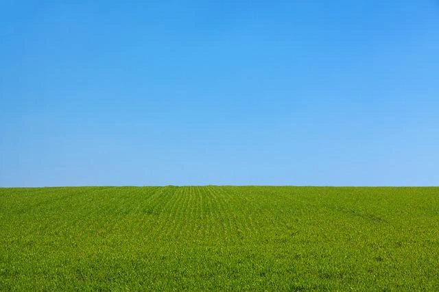 Enigmatic Level: Green Plains | Backrooms Freewriting Wiki | Fandom