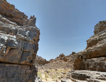 Level 242: "Pure Ramaal" | Backrooms Freewriting Wiki | Fandom