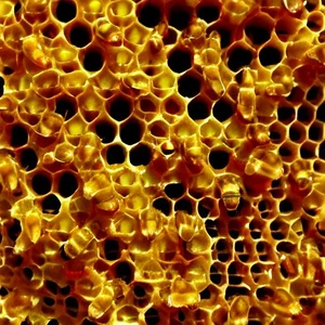 Quirky Level 6: "Spelling Bees Can Cheat Death" | Backrooms Freewriting ...