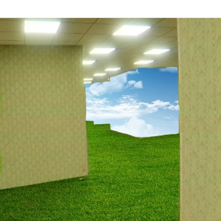 Guide For Your First Level | Backrooms Freewriting Wiki | Fandom