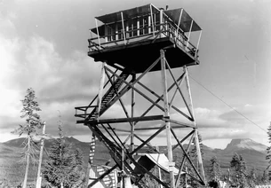 Level 374: "The Blue Forest" | Backrooms Freewriting Wiki | Fandom