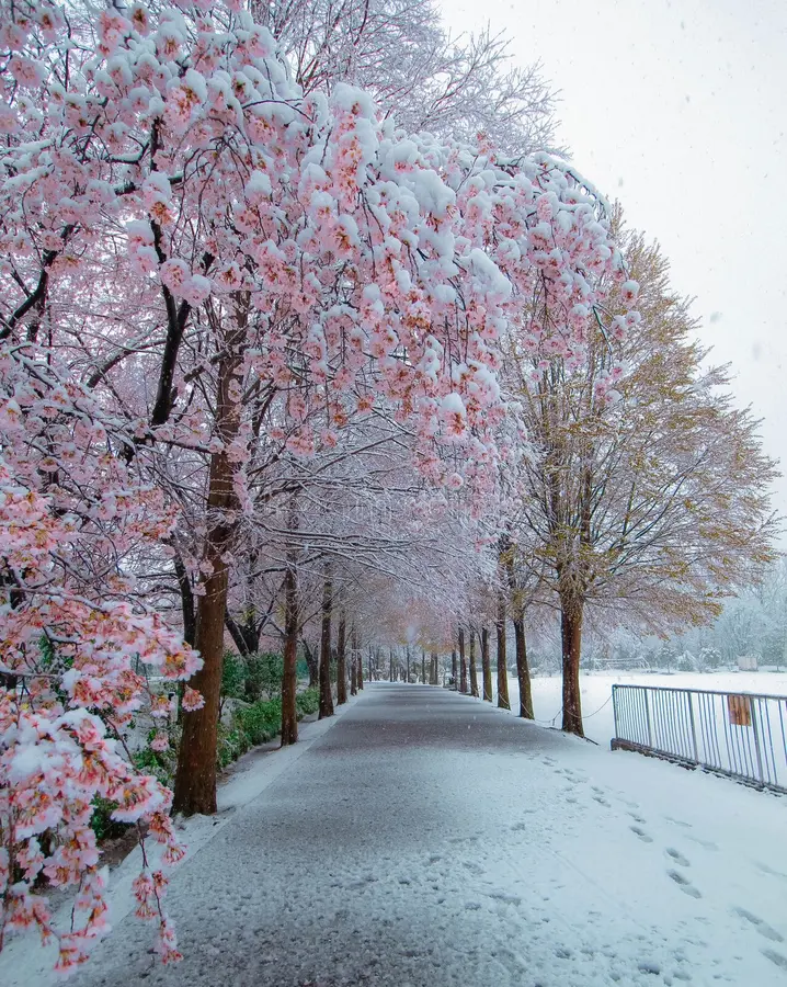 Level 138: When Spring Comes" | Backrooms Freewriting Wiki | Fandom