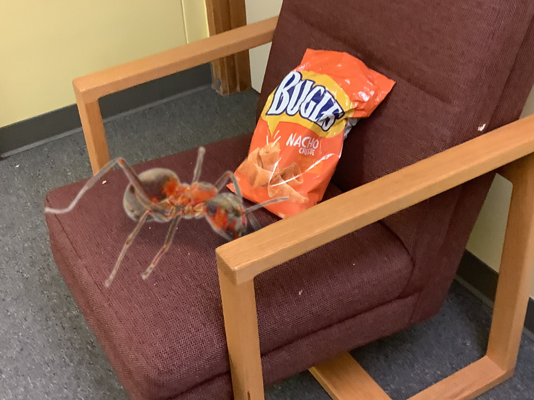 Entity 999, “Red Crazy Fire Ants | Backrooms Freewriting Wiki | Fandom