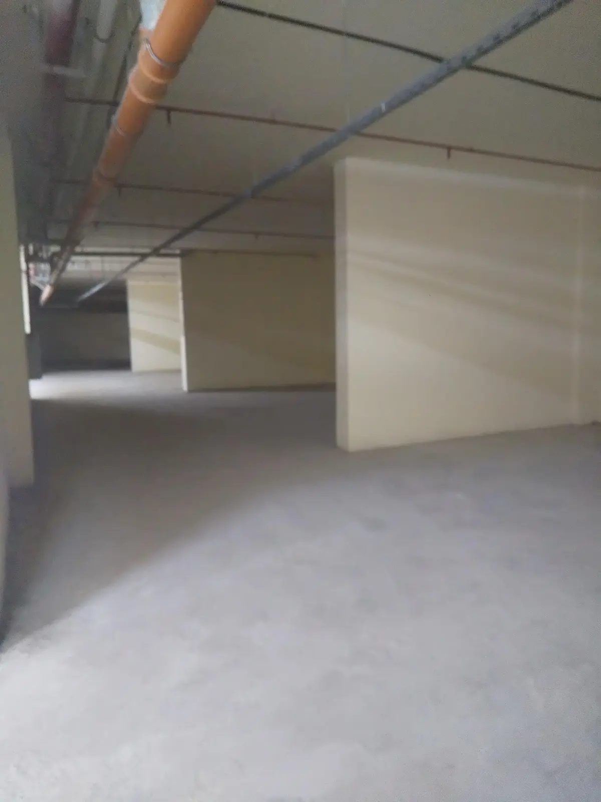 Level 125: "Interminable Basement" | Backrooms Freewriting Wiki | Fandom