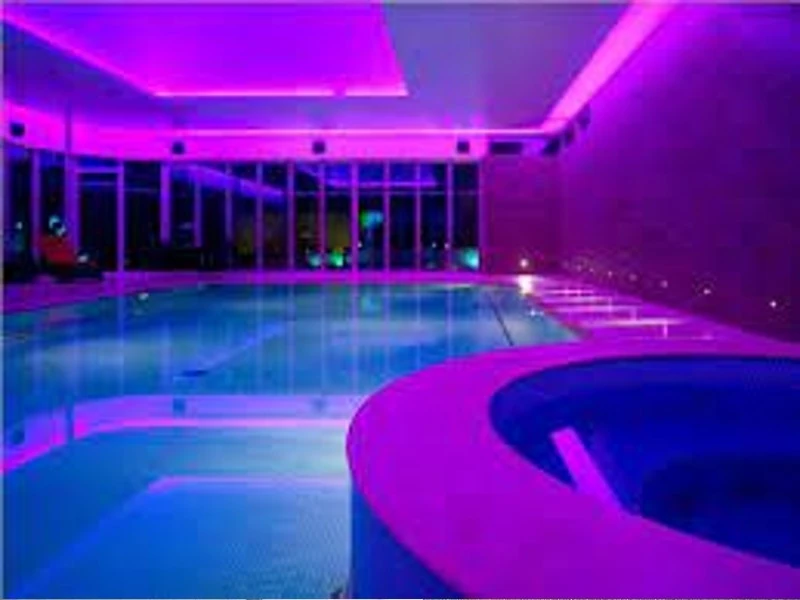 "Neon-Pool Mansion" | Backrooms Freewriting Wiki | Fandom