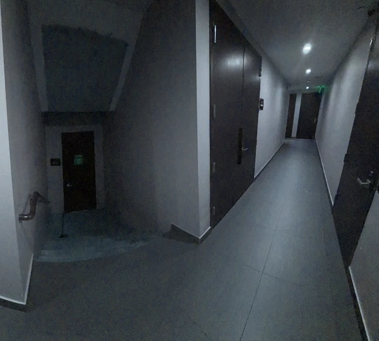 Level -51: "Pronia" | Backrooms Freewriting Wiki | Fandom