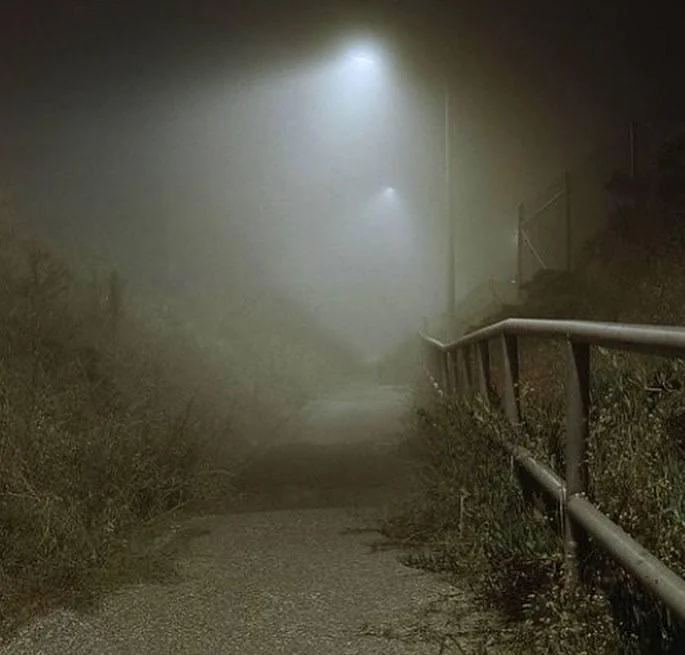 Level 8422: "The Pathway" | Backrooms Freewriting Wiki | Fandom