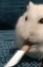 EEren | Backrooms Freewriting Wiki | Fandom