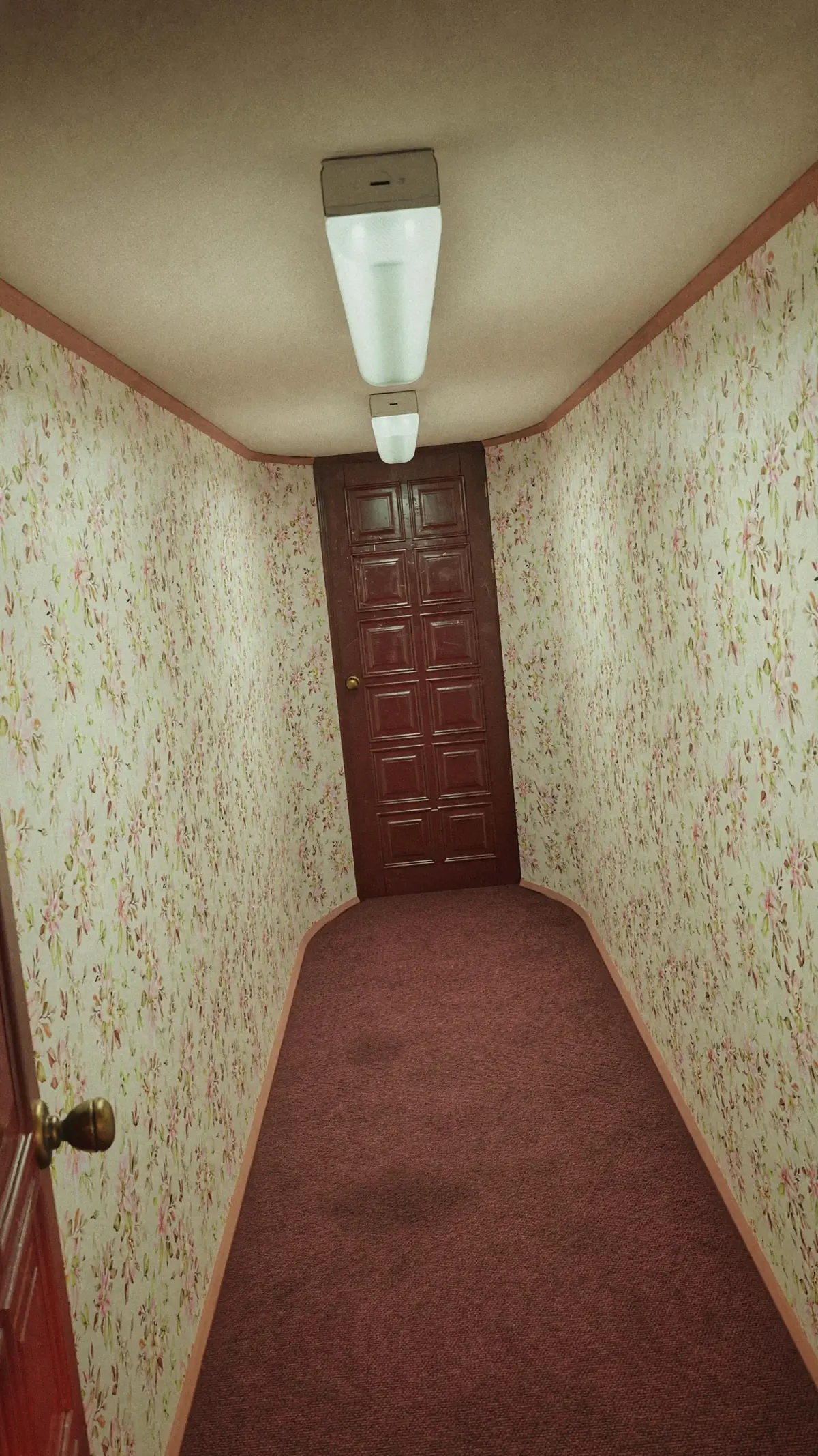 Level 698 | Backrooms Freewriting Wiki | Fandom