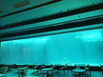 Level 745: "Aquatic Liminality" | Backrooms Freewriting Wiki | Fandom