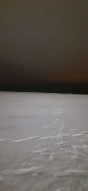 Level 136 | Backrooms Freewriting Wiki | Fandom