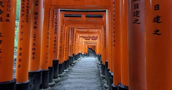 Level 84: "トンネル" | Backrooms Freewriting Wiki | Fandom