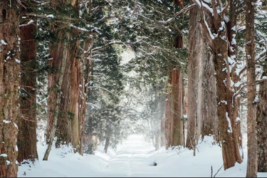 Level 48: "The Mountains of Snow" | Backrooms Freewriting Wiki | Fandom