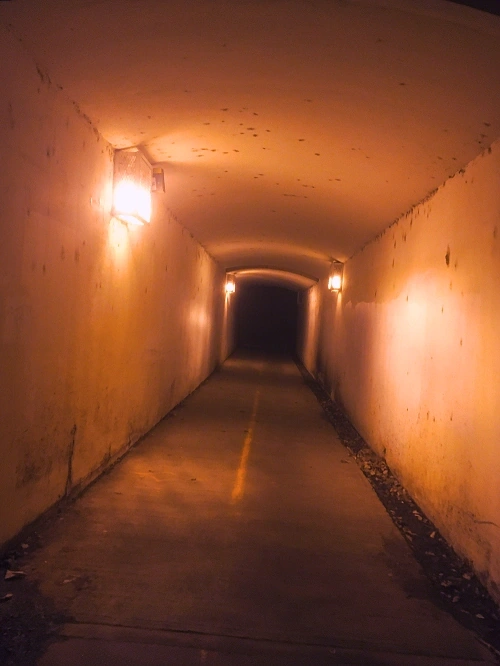 Level 16.3: "Rotten Bunker" | Backrooms Freewriting Wiki | Fandom