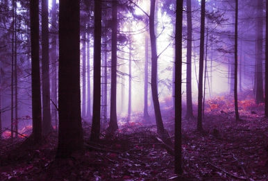 Level 42: Lucidity | Backrooms Freewriting Wiki | Fandom