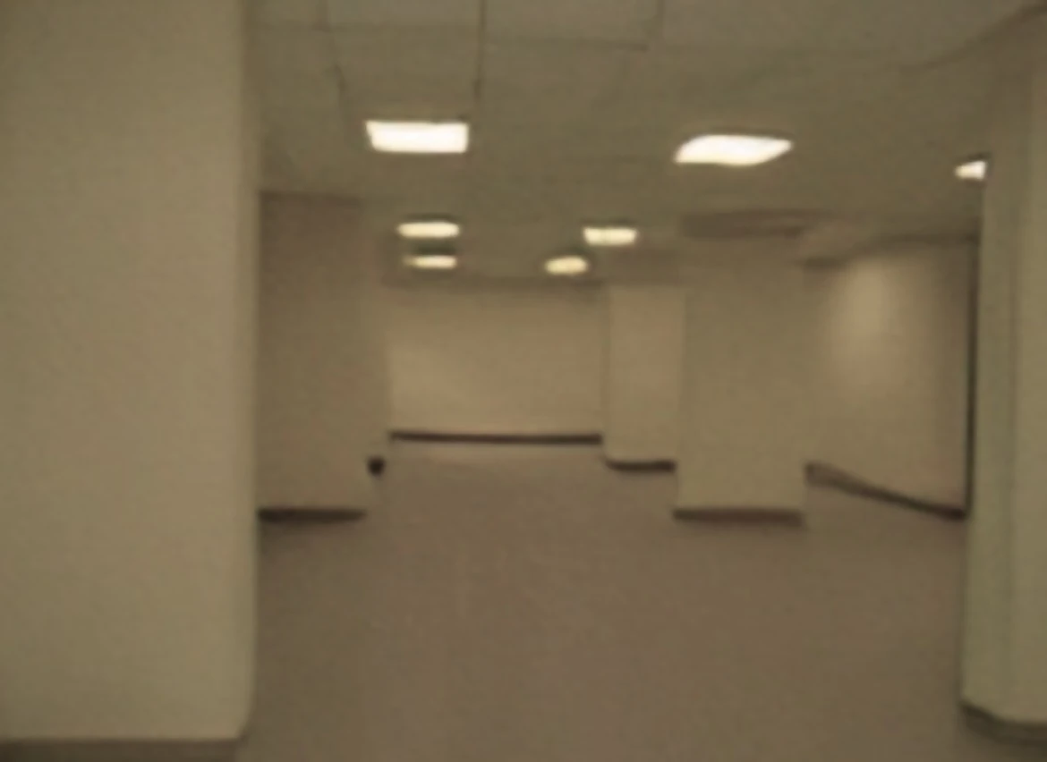 Level 1.1: "Lurking Danger" | Backrooms Freewriting Wiki | Fandom