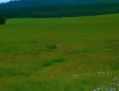 Level 133 | Backrooms Freewriting Wiki | Fandom