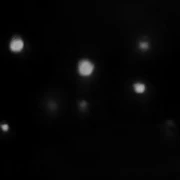 Entity 59: "Mentalities" | Backrooms Freewriting Wiki | Fandom