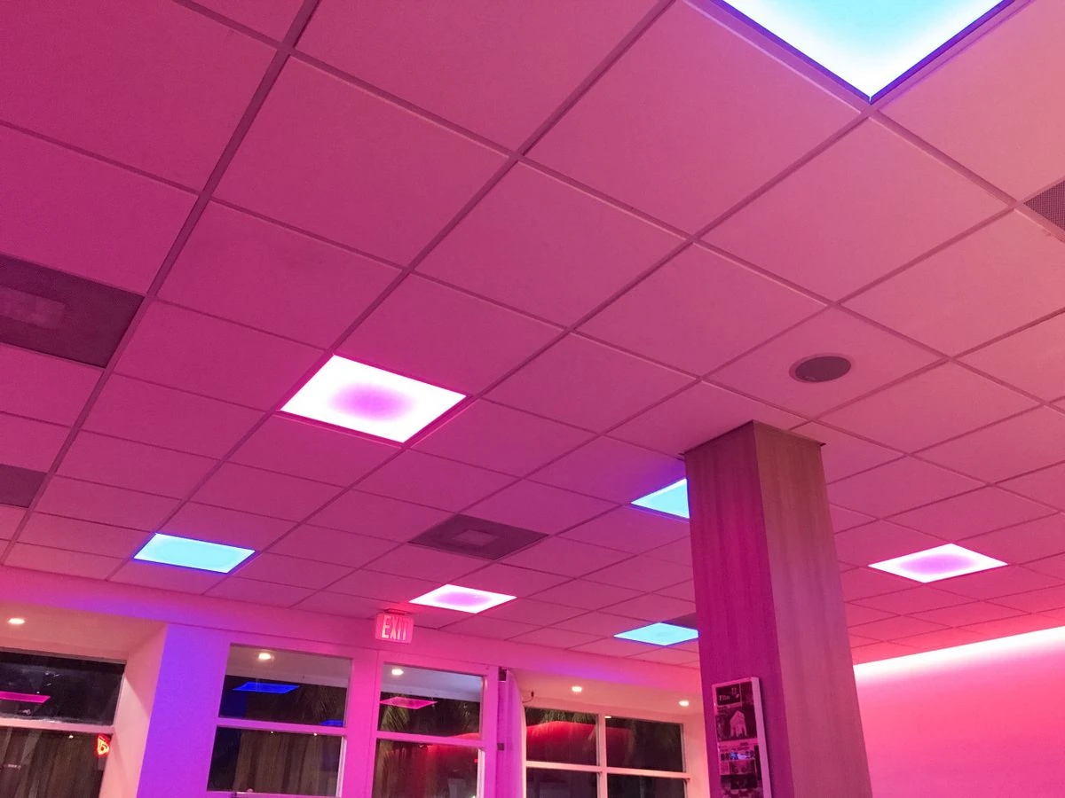 Level 399: The Neon Paradise | Backrooms Freewriting Wiki | Fandom