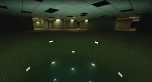 Level 0.55: "The Pit Rooms" | Backrooms Freewriting Wiki | Fandom