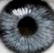 Survival classes list | Backrooms Freewriting Wiki | Fandom